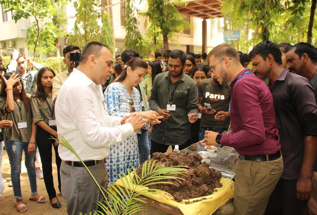 SAL Education are group of Seven institute in one Campus at Ahmedabad